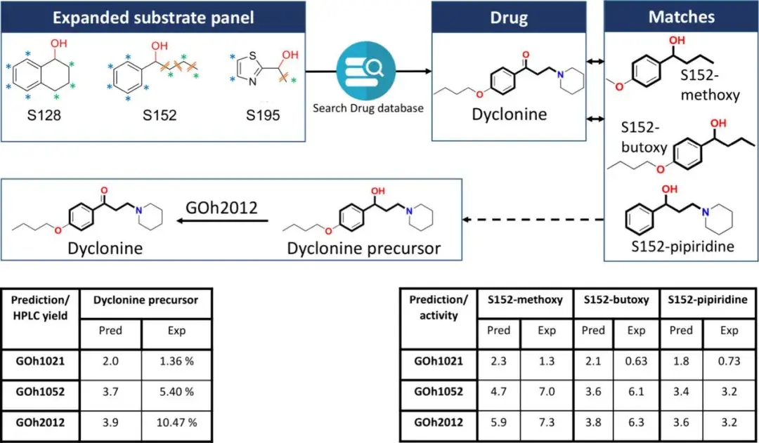 欣贝莱生物 | 机器学习指导半乳糖氧化酶的底物谱扩展：大体积仲醇转化中的应用 - 知乎