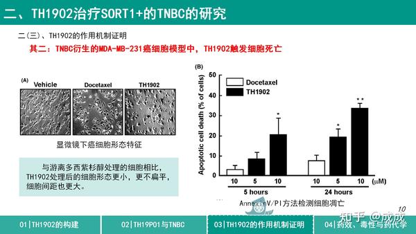 文献解读| TH1902，一种新的多西他赛肽偶联物，用于治疗sortilin阳性的三阴性乳腺癌 - 知乎