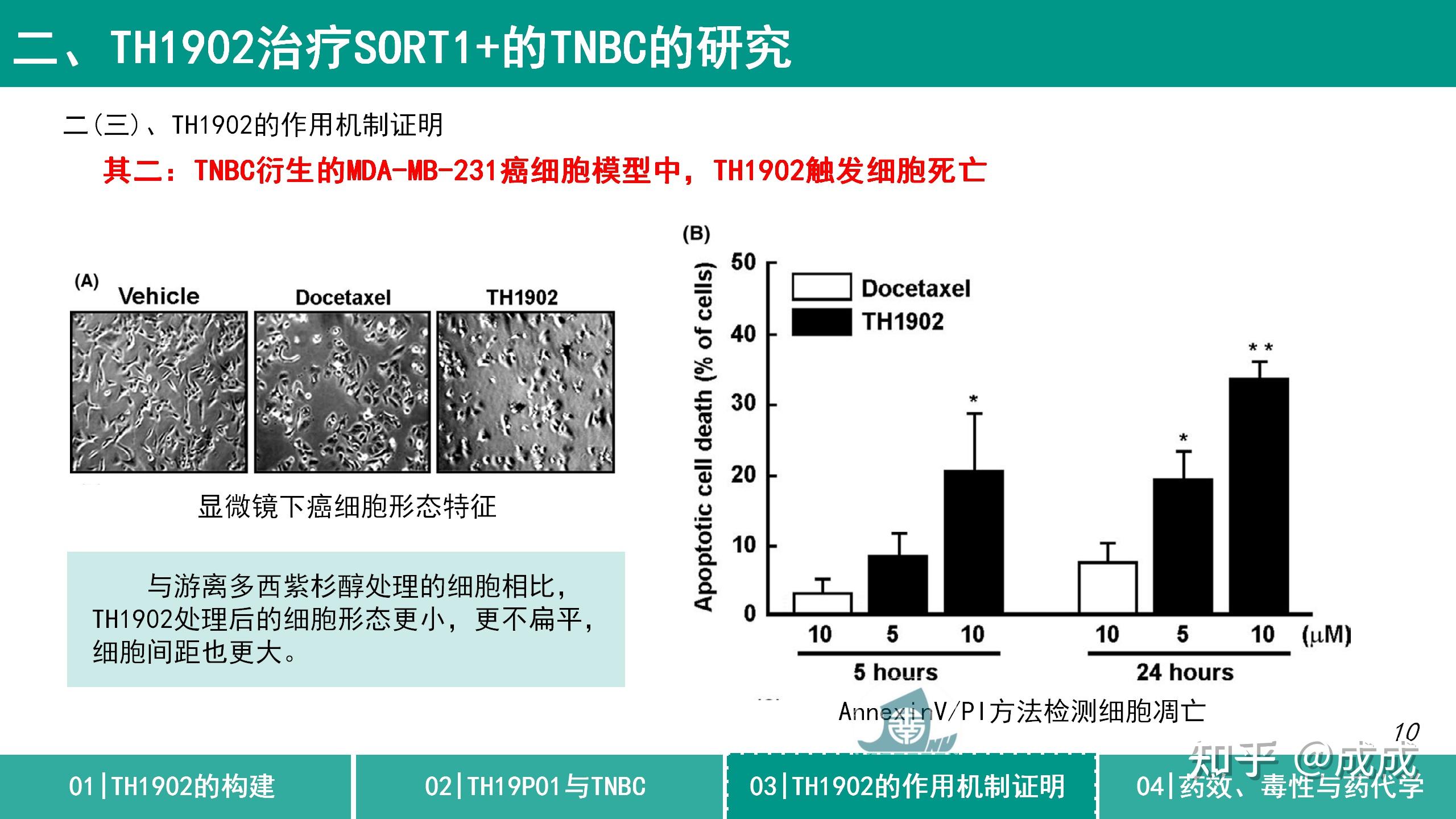 文献解读| TH1902，一种新的多西他赛肽偶联物，用于治疗sortilin阳性的三阴性乳腺癌 - 知乎
