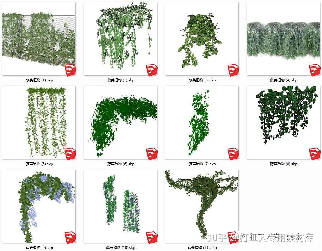 超全SU常用植物库素材大合集（2D、3D的写实风手绘风树木、灌木、花卉、盆栽均有） - 知乎