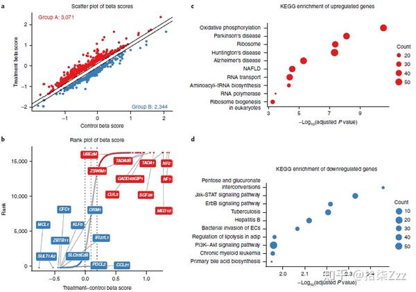 干货 | 全基因组CRISPR文库筛选数据分析——MAGeCKFlute - 知乎
