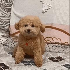 风控建模指标PSI，IV和WOE理解 - 知乎