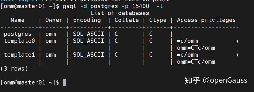 详解openGauss客户端工具gsql的高级用法 - 知乎