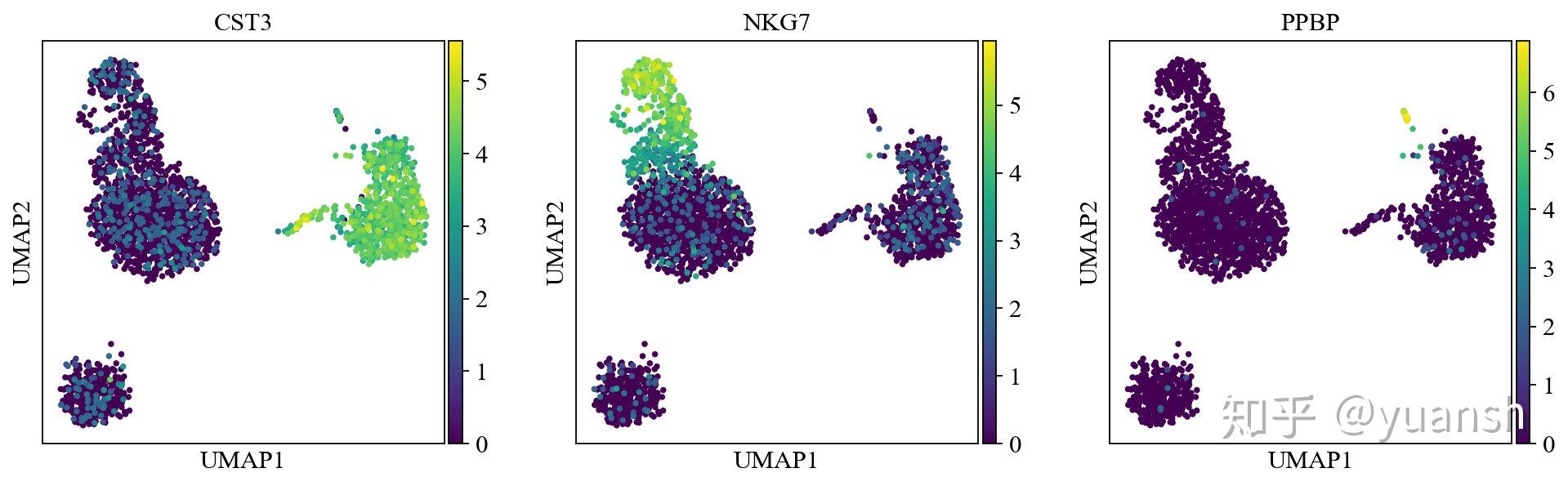 （单细胞-SingleCell）Scanpy流程——python 实现单细胞 Seurat 流程 - 知乎