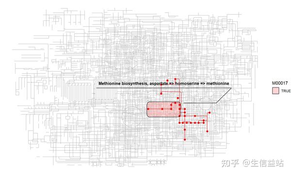 玩转KEGG (三)——遥遥领先pathview！ ggkegg可视化KEGG通路、模块与网络 - 知乎