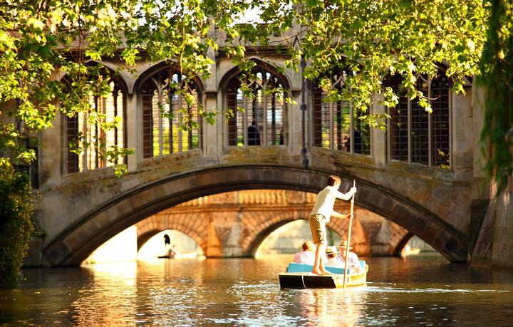 TUMA的考试内容和形式是什么？ - 知乎