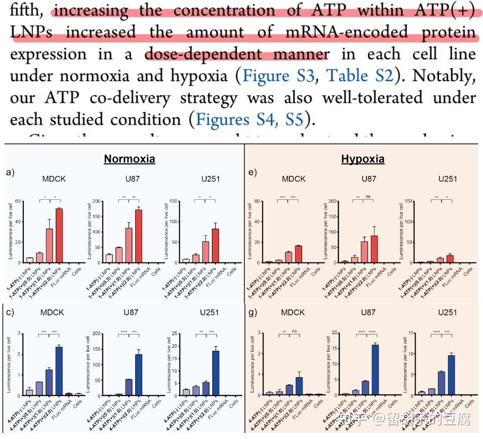 共递送ATP提升mRNA-LNP细胞内蛋白表达水平数十倍 - 知乎