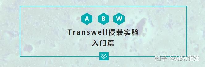 Transwell侵袭实验——入门篇 - 知乎