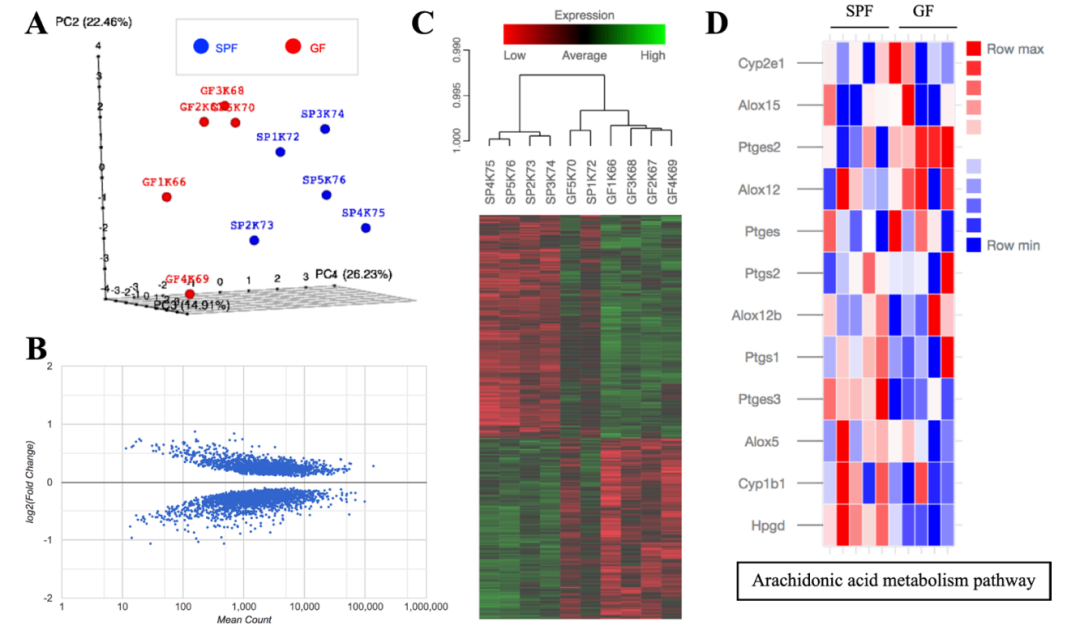 肠-脑轴又填新篇！国自然热点-肠道菌群对阿尔兹海默病机理影响！ - 知乎