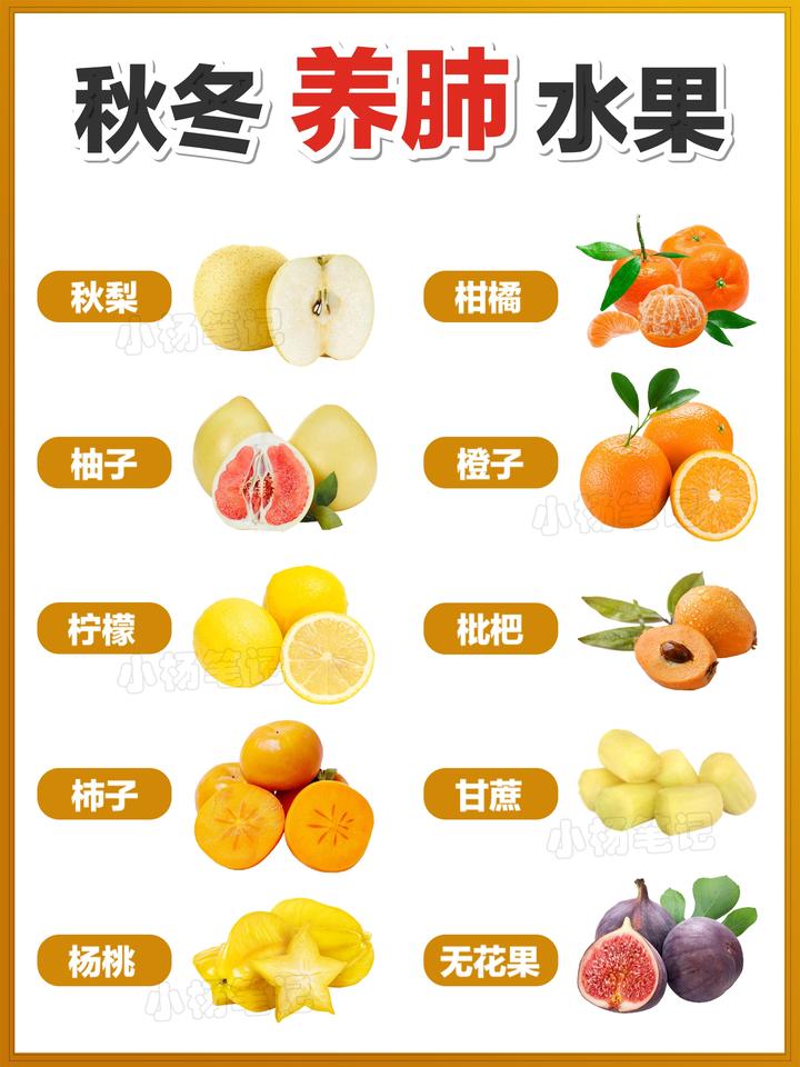10种秋冬养肺水果 知乎