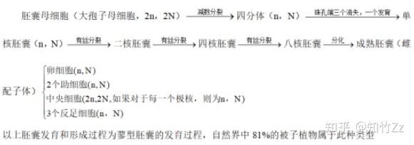 普通生物学高频考点(五十)之植物的生殖和发育内容及思维导图 知乎