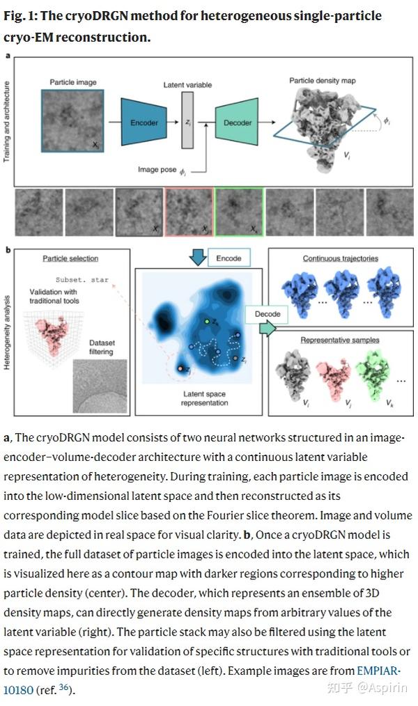 Nat. Methods | CryoDRGN: 利用神经网络重建异质cryo-EM结构 - 知乎