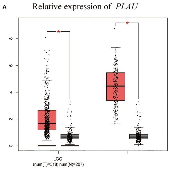 只做预后和富集分析就能发6分+？且看双基因生信分析如何轻松突出重围，一举拿到接收函！ - 知乎