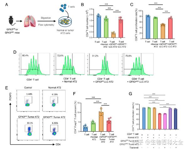 单细胞项目文章|肿瘤极化GPX3+ AT2肺上皮细胞促进转移前生态位形成 - 知乎