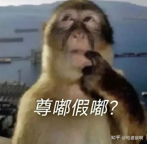发点猴子表情包 - 知乎