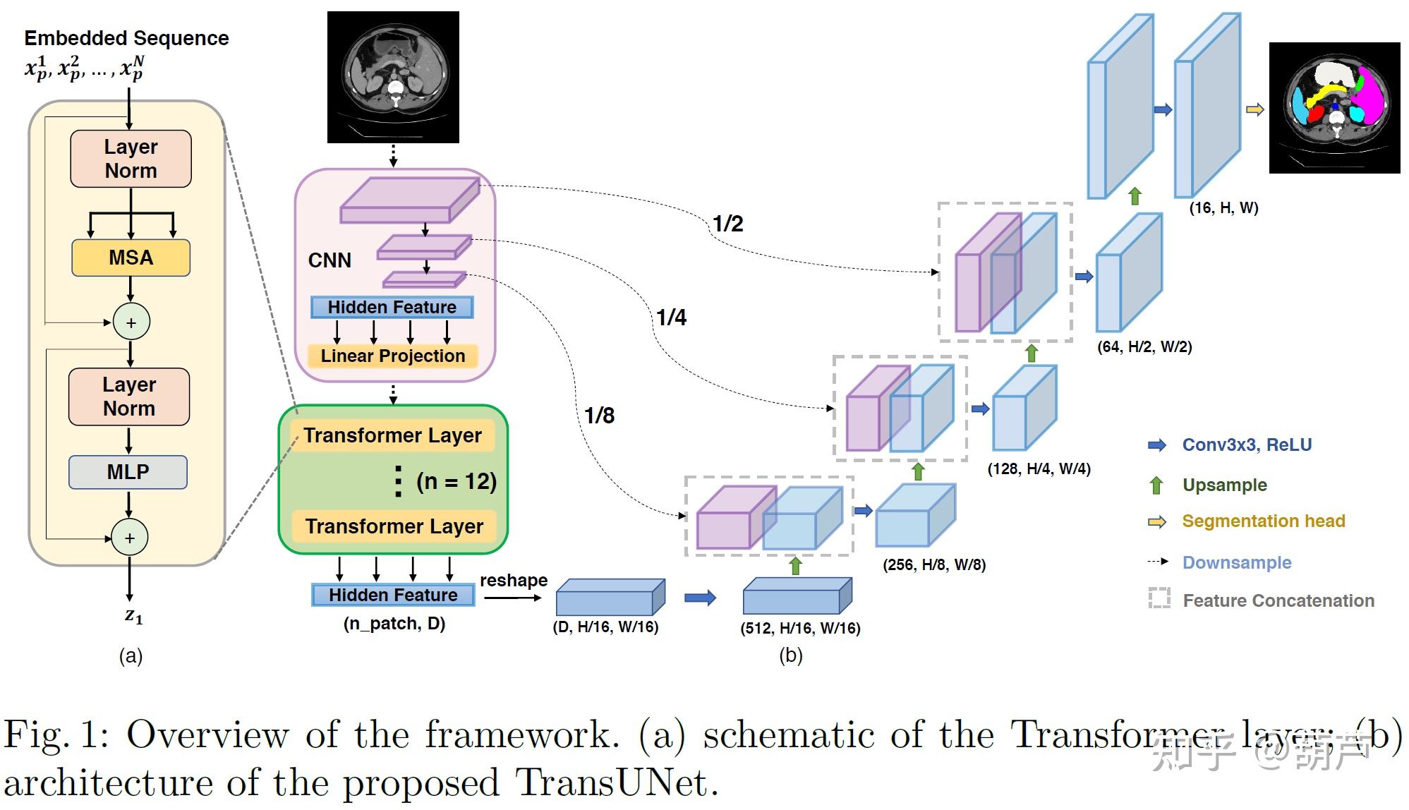 TransUNet: Transformers Make StrongEncoders for Medical Image ...