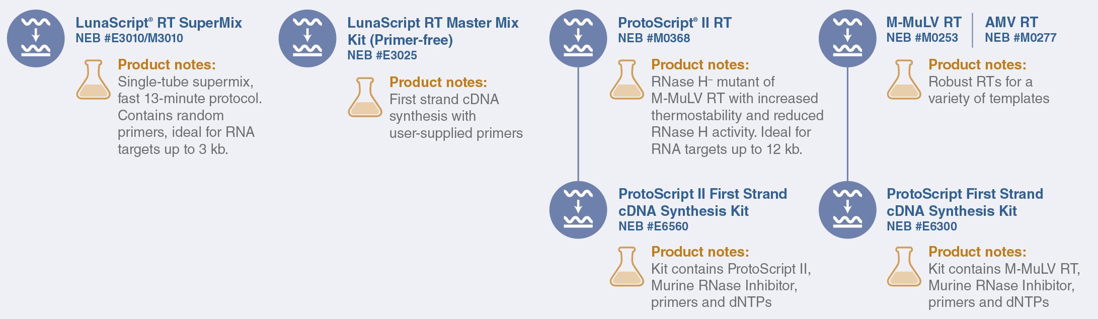 反转录病毒与 II 型内含子编码反转录酶：共性、差异、应用 - 知乎