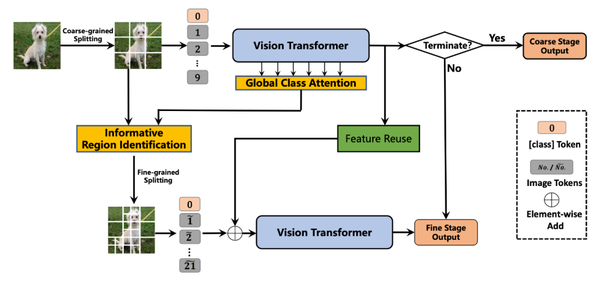 AAAI 2023 | CF-ViT：由粗到细的两阶段动态推理架构 - 知乎