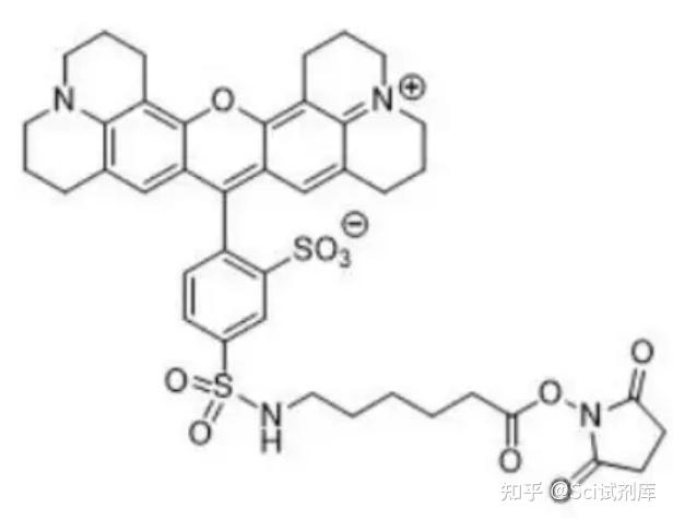216972-99-5，Texas Red-X NHS ester的性质特征 - 知乎