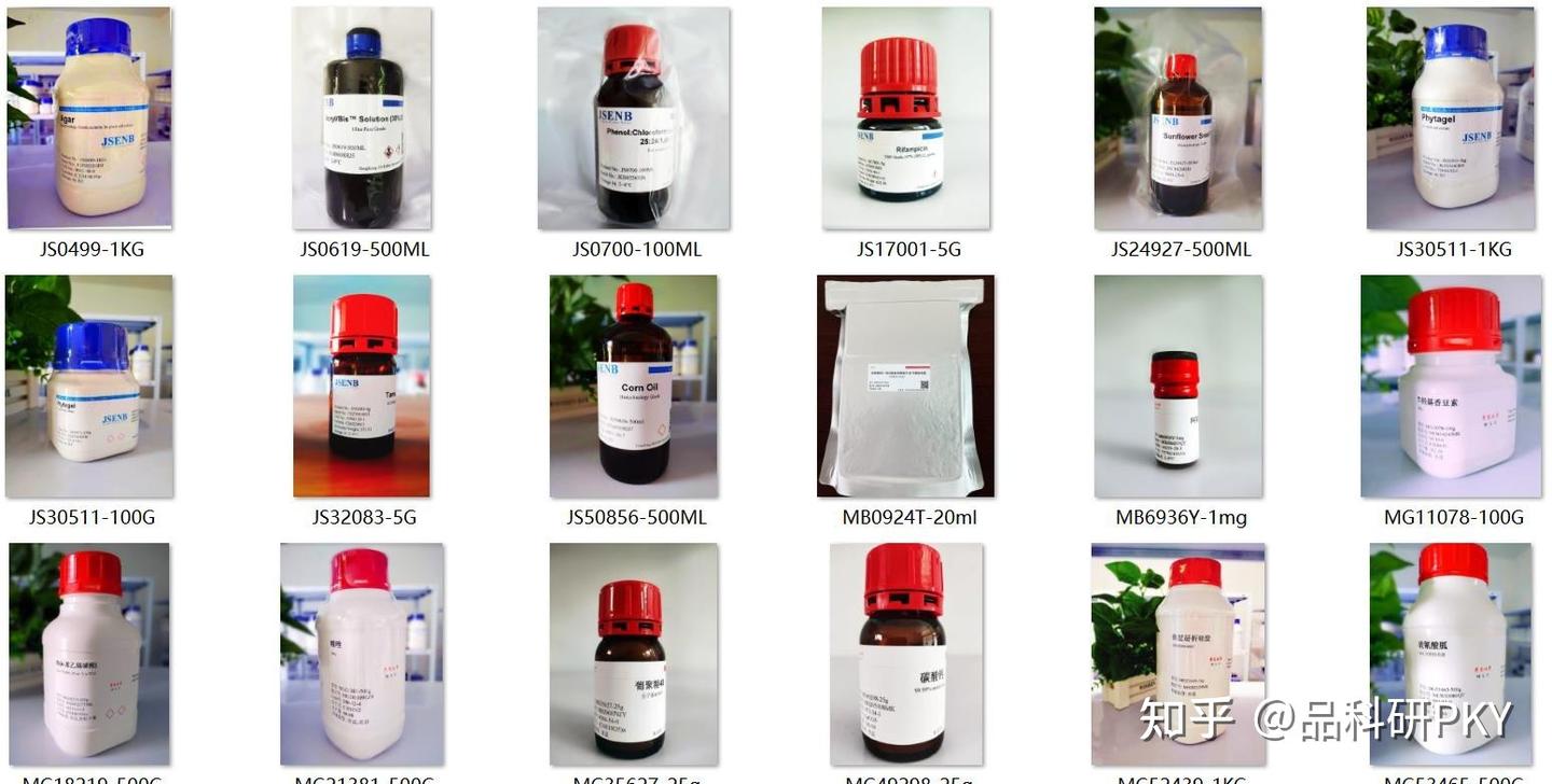 Northern Blot 原理及实验方法 - 知乎