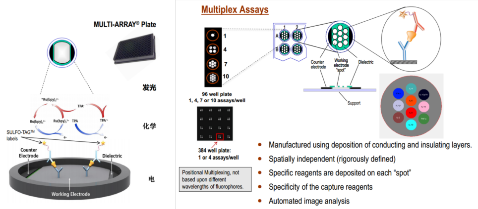 基于LBA的Luminex和MSD技术在药物研发中的应用 - 知乎