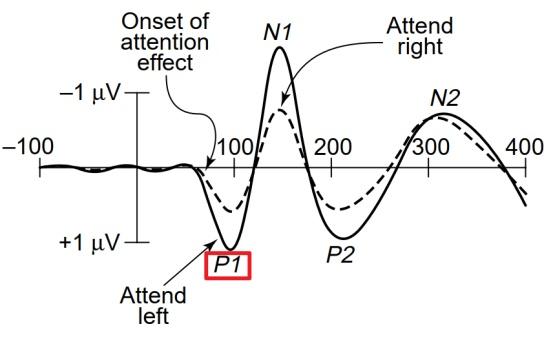 脑电必读干货：ERP经典成分汇总 - 知乎