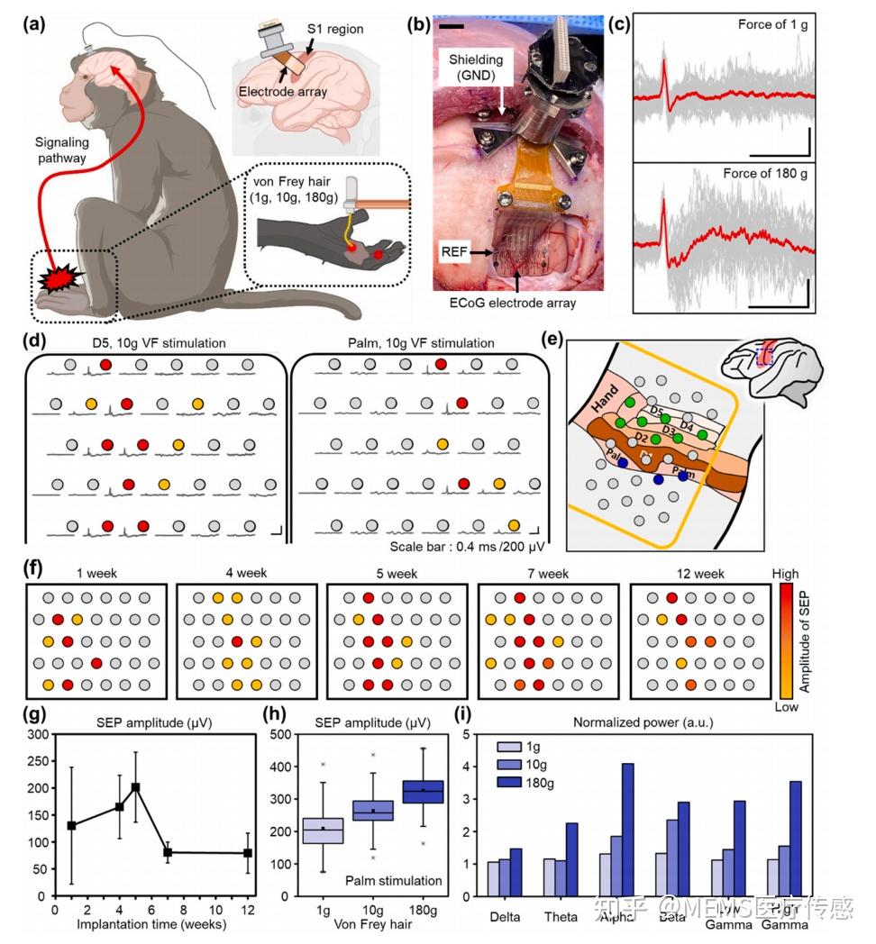 基于PDMS的柔性ECoG电极 - 知乎