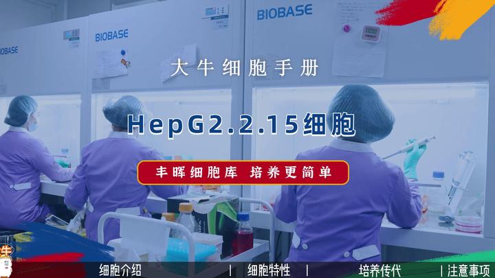 HepG2.2.15细胞培养，人肝癌细胞培养攻略 - 知乎