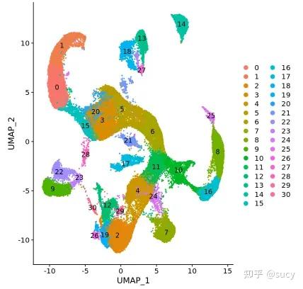 Seurat与singleR - 知乎