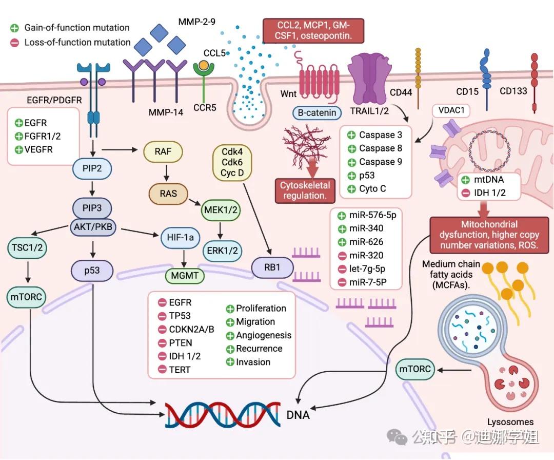顶刊的摘要图Graphical Abstract是怎么画的？（附3个常用工具介绍） - 知乎