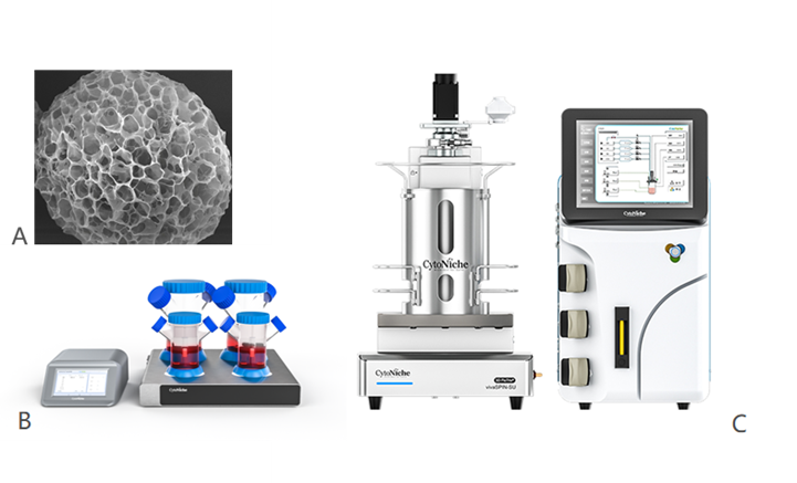 从源头革新到迈向临床：iPSC-iMSC的3D细胞规模化破局之路 - 知乎