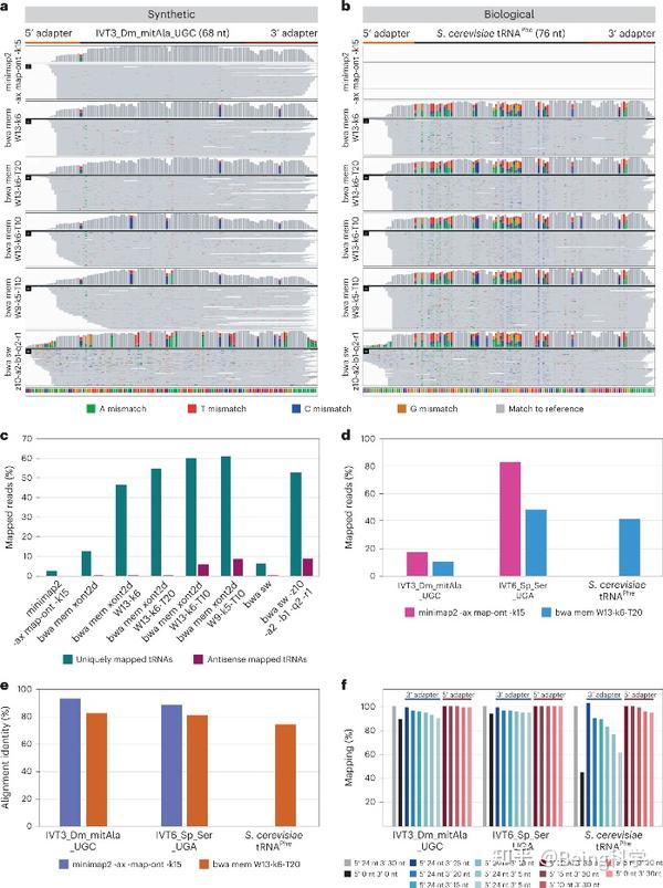 技术 | 如何定量分析tRNA的丰度和修饰？纳米孔RNA-seq大展身手！ - 知乎