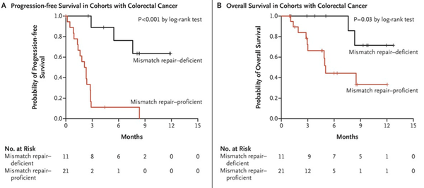 陈功教授：KEYNOTE-177的启示——精准免疫是王道 - 知乎
