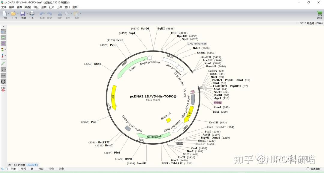 超详细的保姆级SnapGene软件应用汇总，建议收藏备用！！！ - 知乎