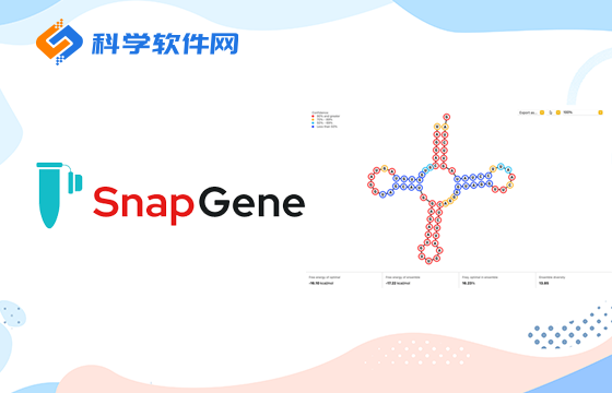 SnapGene V6.1.2 更新 - 知乎
