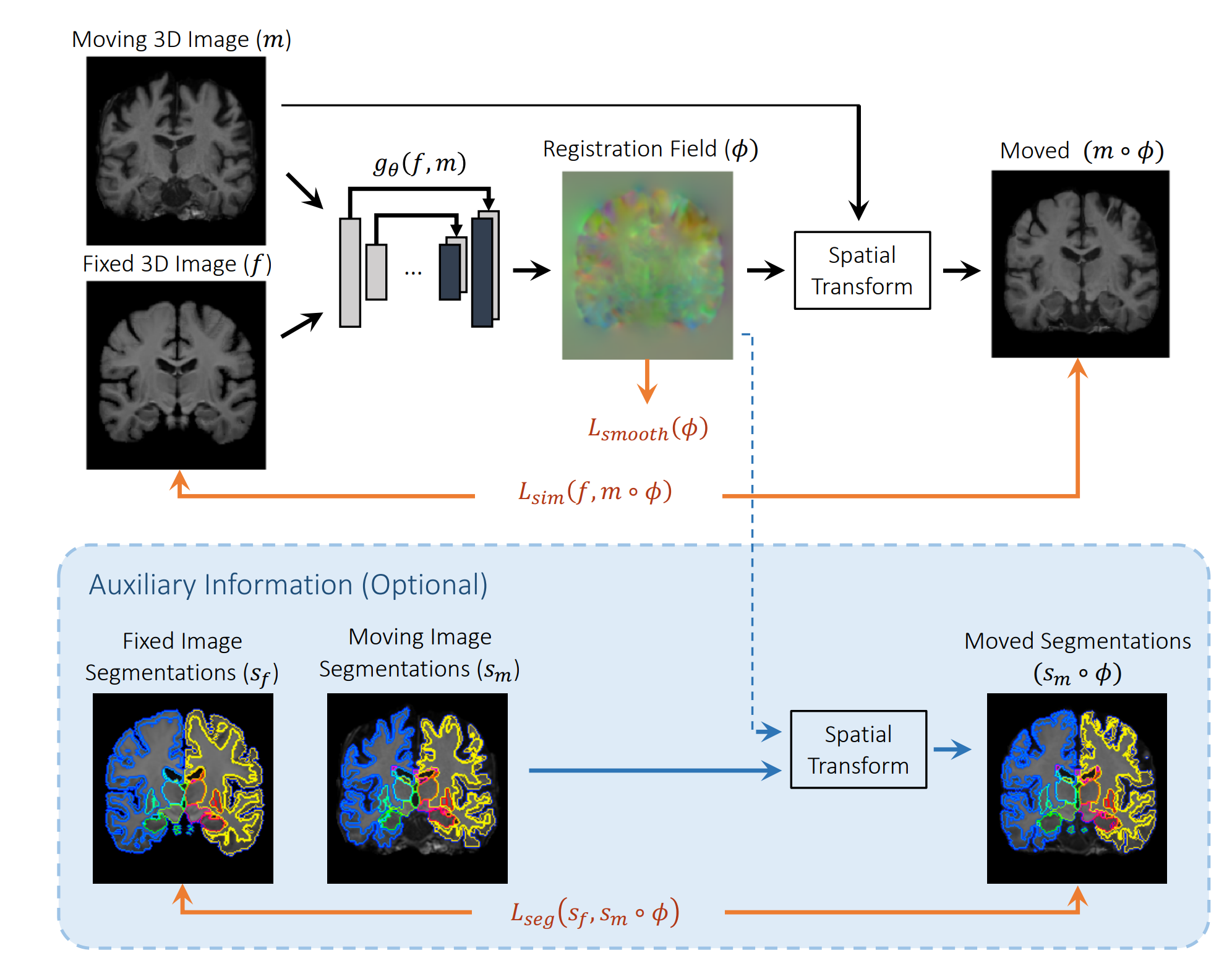 使用 voxelmorph 进行 CT 影像配准——原理和代码实现 - 知乎