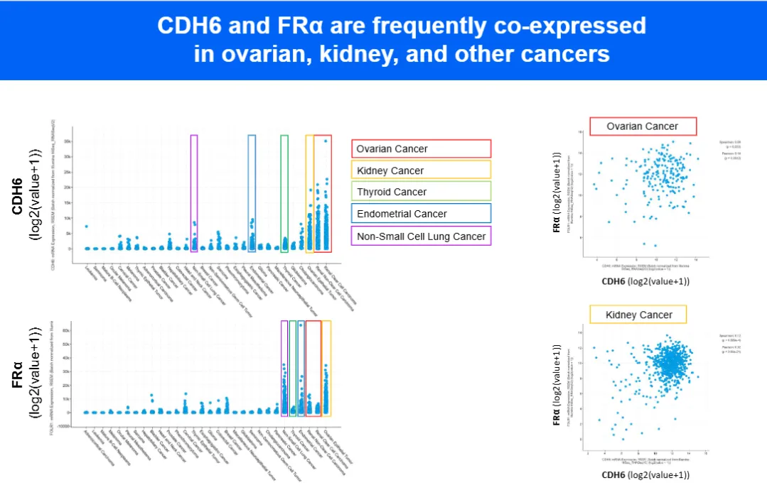 AACR2025：新型叶酸/CDH6双靶点+双毒素ADC克服传统ADC耐药，卵巢癌模型完全消退 - 知乎