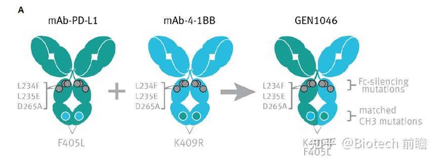 免疫激动剂丨4-1BB单/双抗项目进展 - 知乎