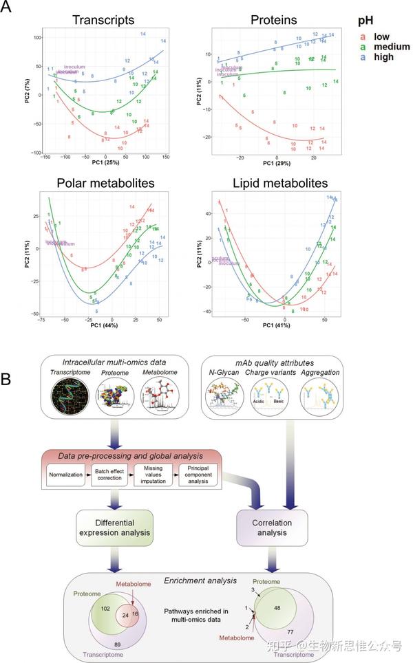 上游技术 | 一文读懂pH对单抗PQA的深层调控机制 - 知乎