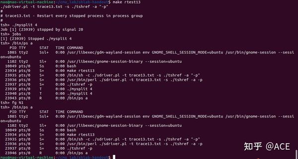 CSAPP课程Lab5 Shell Lab - 知乎