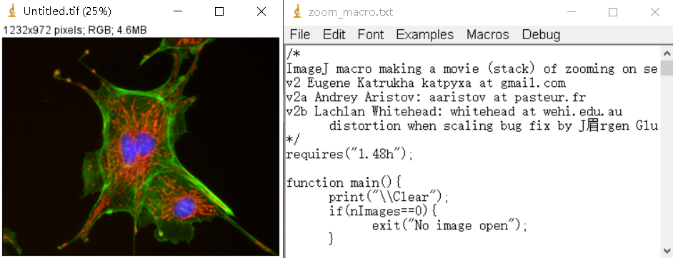 如何用ImageJ做出这种酷炫动画 - 知乎