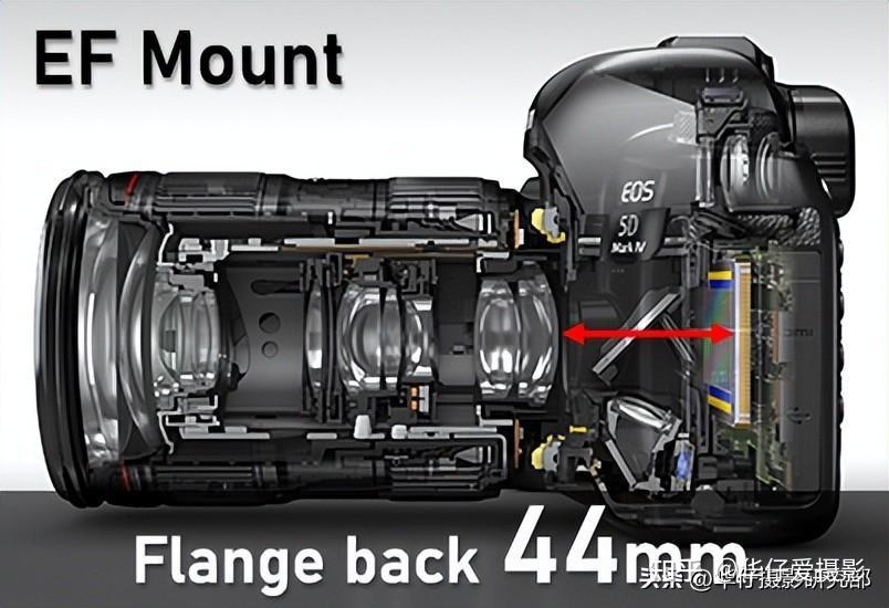 佳能RF 与 EF 镜头有什么区别？EF镜头转接在佳能微单上使用靠谱吗？ - 知乎
