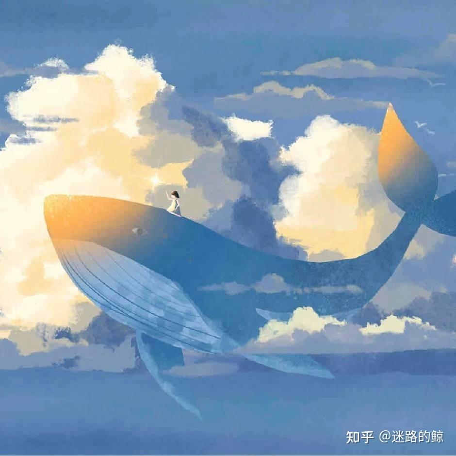 女生 158cm 体重 49kg 真的很胖吗？ - 知乎