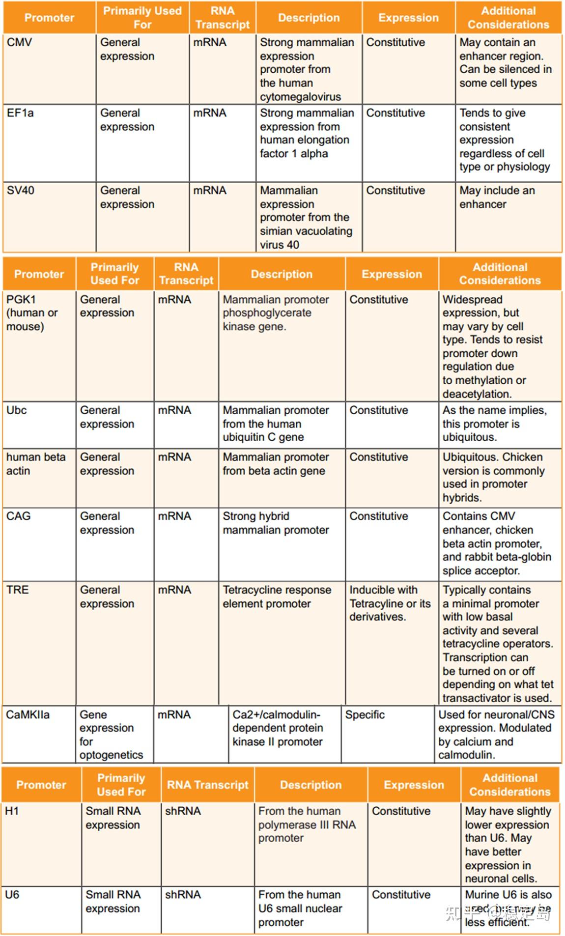 分子生物学——一篇文章看懂质粒 - 知乎