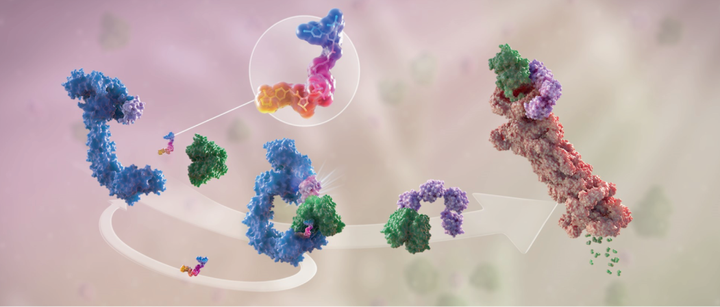 Nat. Commun. | DeepPROTACs: 基于深度学习的PROTACs降解药效预测模型 - 知乎