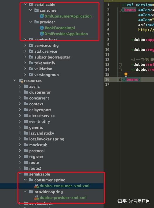 Dubbo 序列化 - 知乎