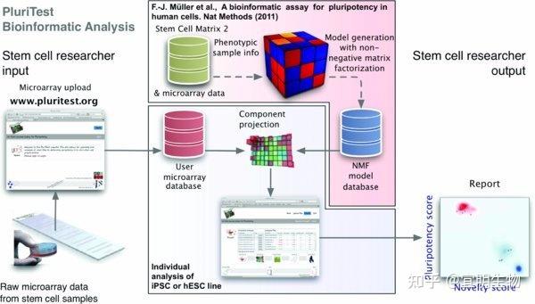 为迈向临床把好最后一关，简述iPSC最终产品特性的关键分析方法 - 知乎