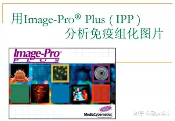 【免疫组化分析法】色彩分割+机器学习！ - 知乎