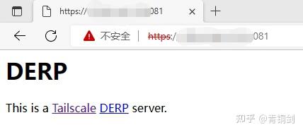 headscale的derper搭建 - 知乎