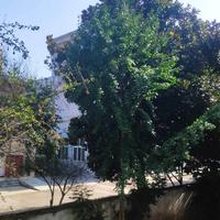 在vscode中使用Tiny C Compiler(tcc)作为C语言编译器，干货。 - 知乎